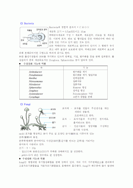 미생물의 수질정화 기능과 역할-1페이지