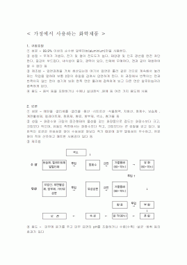 가정에서 사용하는 화학제품-1페이지