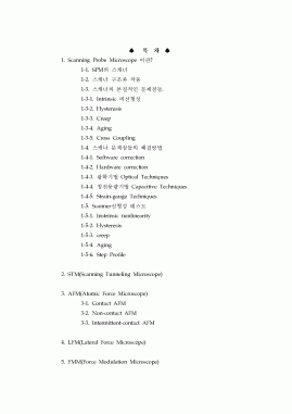 SPM의 구조와 원리-1페이지