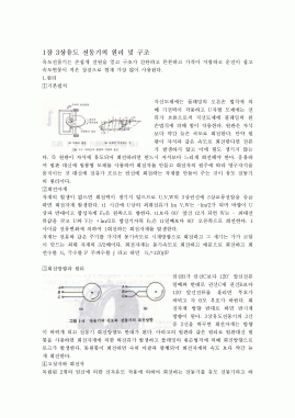 유도(정동)기의 원리 및 구조-1페이지