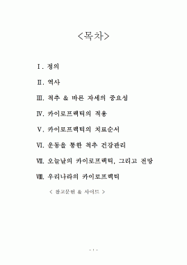 카이로프랙틱-1페이지