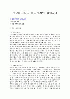 관광마케팅의 성공사례와 실패사례-1페이지