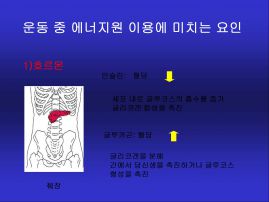 [예체능] 운동중 에너지원-1페이지