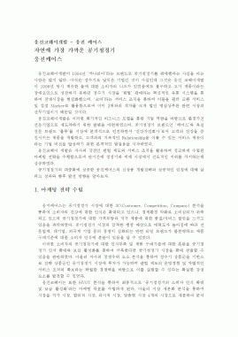 웅진케어스-웅진코웨이(마케팅성공사례)-1페이지