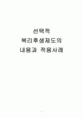 [기업복지제도]선택적 복리후생제도의 내용과 적용사례-1페이지