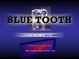 BlueTooth(블루투스)에 대하여-1페이지