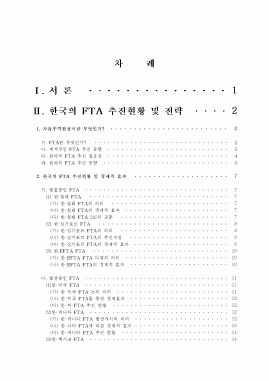 FTA 추진형황 및 전략과 한국 경제에 미치는 영향-1페이지