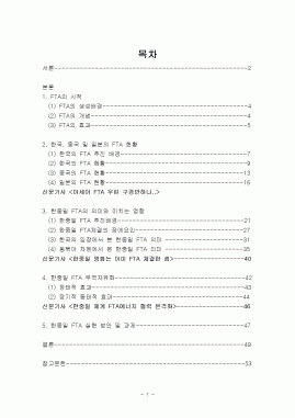 한중일 FTA의 영향-1페이지