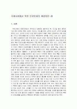 국제사회에서 북한 인권문제의 해결방안-1페이지