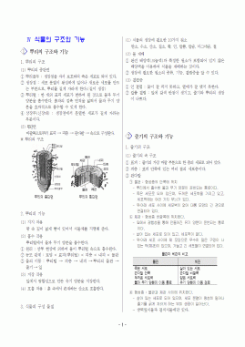 [과외]중학 과학 2-1학기 중간 03 식물의 구조와 기능-1페이지