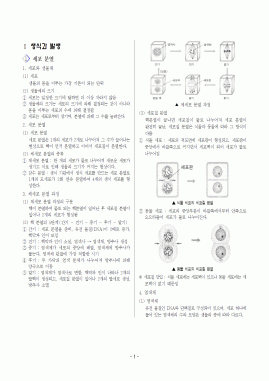 [과외]중학 과학 3-1학기 중간 01 생식과 발생-1페이지