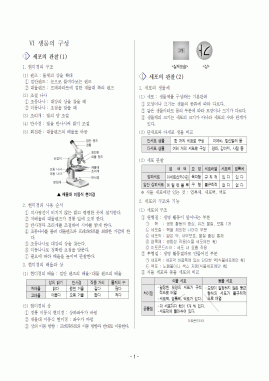 [과외]중학 과학 1-1학기 기말 06 생물의 구성-1페이지