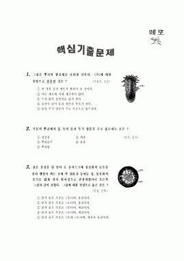 [과외]2.생물 뿌리의구조와 기능-1페이지