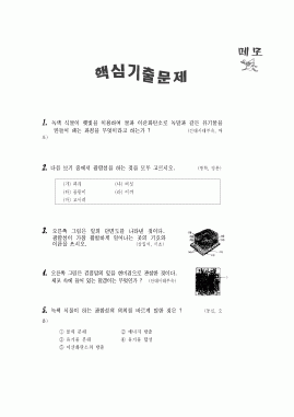 [과외]2.생물 광합성-1페이지