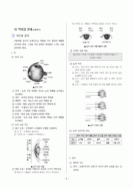 [과외]중학 과학 2-2학기 중간4 자극과 반응(교사용)-1페이지