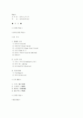 한국 스키의 역사와 방법론-1페이지