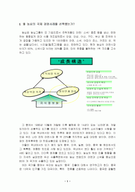 농심의 중국진출 사례-1페이지