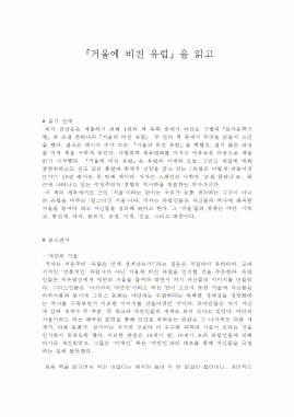 거울에 비친 유럽을 읽고 - 조셉 폰타나의 거울에 비친 유럽 독후감-1페이지