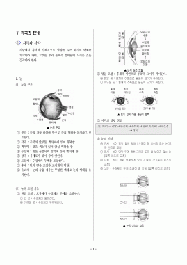 [과외]중학 과학 2-2학기 기말 05자극과 반응(교사용)-1페이지