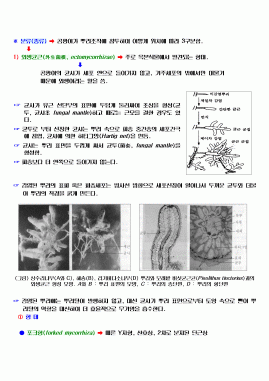 외생균근에 대하여-1페이지