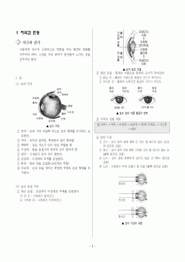 [과외]중학 과학 2-2학기 기말 05자극과 반응-1페이지