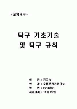 [예체능] 탁구에 대해서 조사하기-1페이지