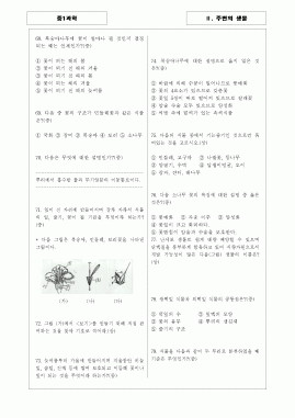 [과외]중학 과학 중1-04 땅에 사는 식물(1) 03-1페이지