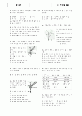 [과외]중학 과학 중1-05 땅에 사는 식물(2) 02-1페이지