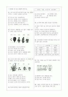 [과외]중학 과학 중1-05 땅에 사는 식물(2) 03-1페이지