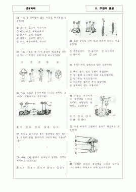 [과외]중학 과학 중1-05 땅에 사는 식물(2) 06-1페이지