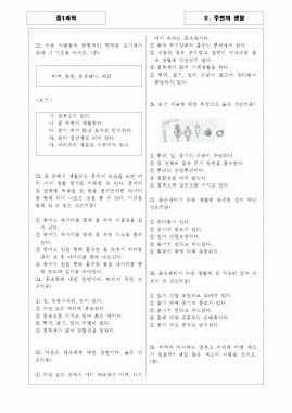 [과외]중학 과학 중1-05 땅에 사는 식물(2) 08-1페이지