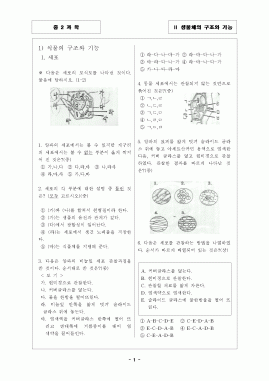 [과외]중학 가정 중2-03 식물의 구조와 기능 01-1페이지