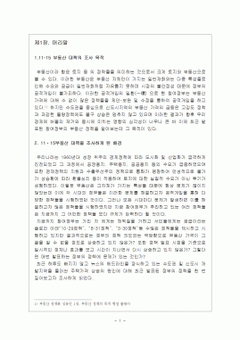 11.15부동산 대책의 내용과 실효성에 관해-1페이지