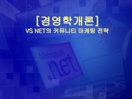 [경영학개론] Visual Studio NET의 커뮤니티 마케팅 전략-1페이지