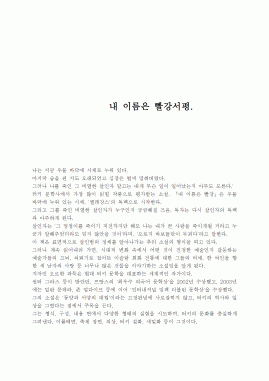 요르한 파묵의 내이름은 빨강 분석, 서평, 독후감- 개인적인 생각을 중심으로-1페이지