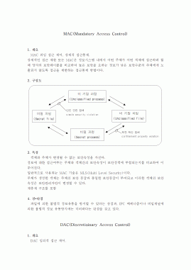 Access control system(접근제어)-1페이지