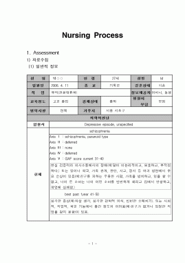 간호 정신분열병 케이스 스터디-1페이지