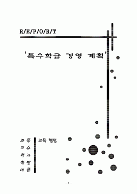 특수학급경영계획-1페이지