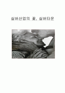 실버산업의 꽃, 실버타운-1페이지