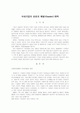 국내기업의 성장과 재벌개혁-1페이지