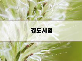 경도시험 결과 레포트-1페이지