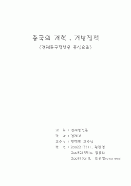 [사회과학] 중국의 개혁, 개방정책-1페이지