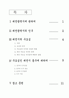 대전시에 관하여-1페이지