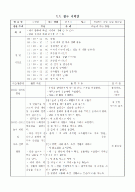 일일활동계획안 하늘에 사는 동물(새)-1페이지