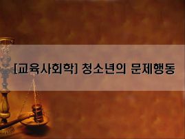 [교육사회학] 청소년의 문제행동-1페이지