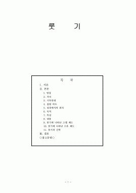 룻기 (고멜제도,수혼제도를 중점으로)-1페이지