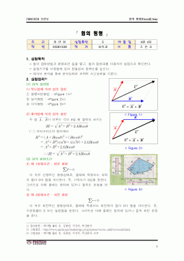 [자연과학] 힘의 평형 -1페이지