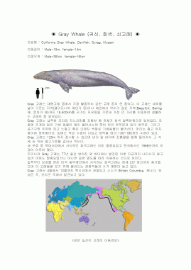 동해안에 나타나는 고래-1페이지