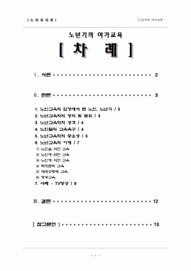 노년기의 여가교육-1페이지