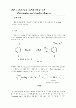 다이아조화 반응과 커플링 반응-1페이지